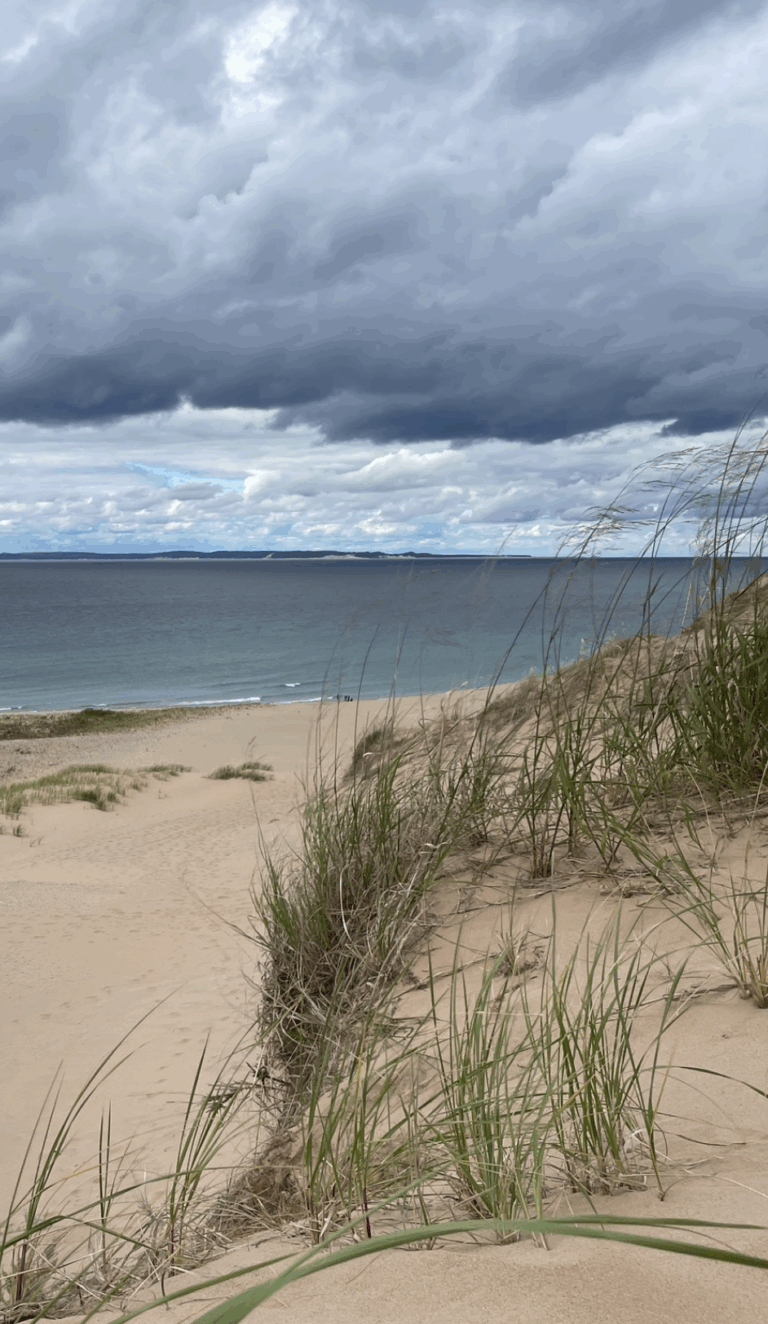 About - Debra Rienstra